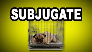 Ostensibly: In a Sentence – WORDS IN A SENTENCE