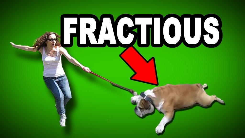 Pugnacious: In a Sentence – WORDS IN A SENTENCE
